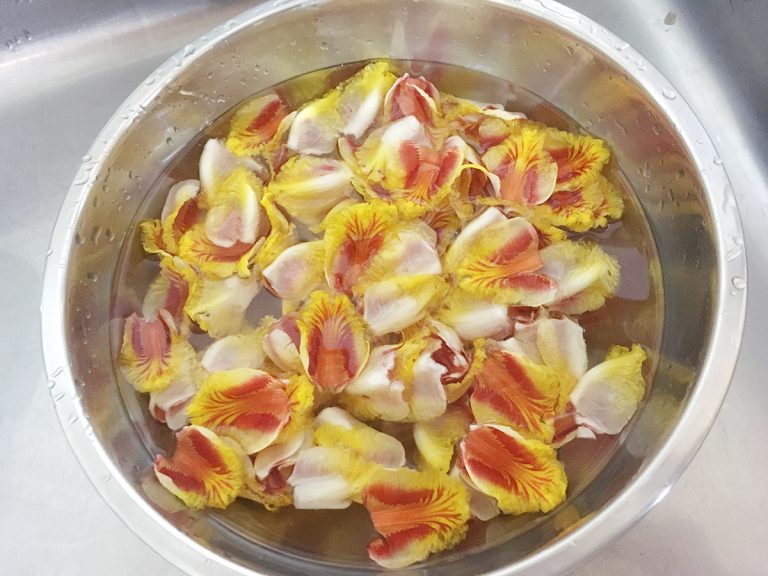 Handmade herbal tea of shell ginger | l’île de coeur